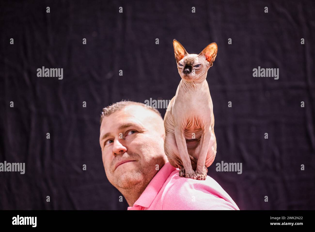 Olympia London 18 Feb 2024 Jack with Zara the Sphynx hairless cat at a ...