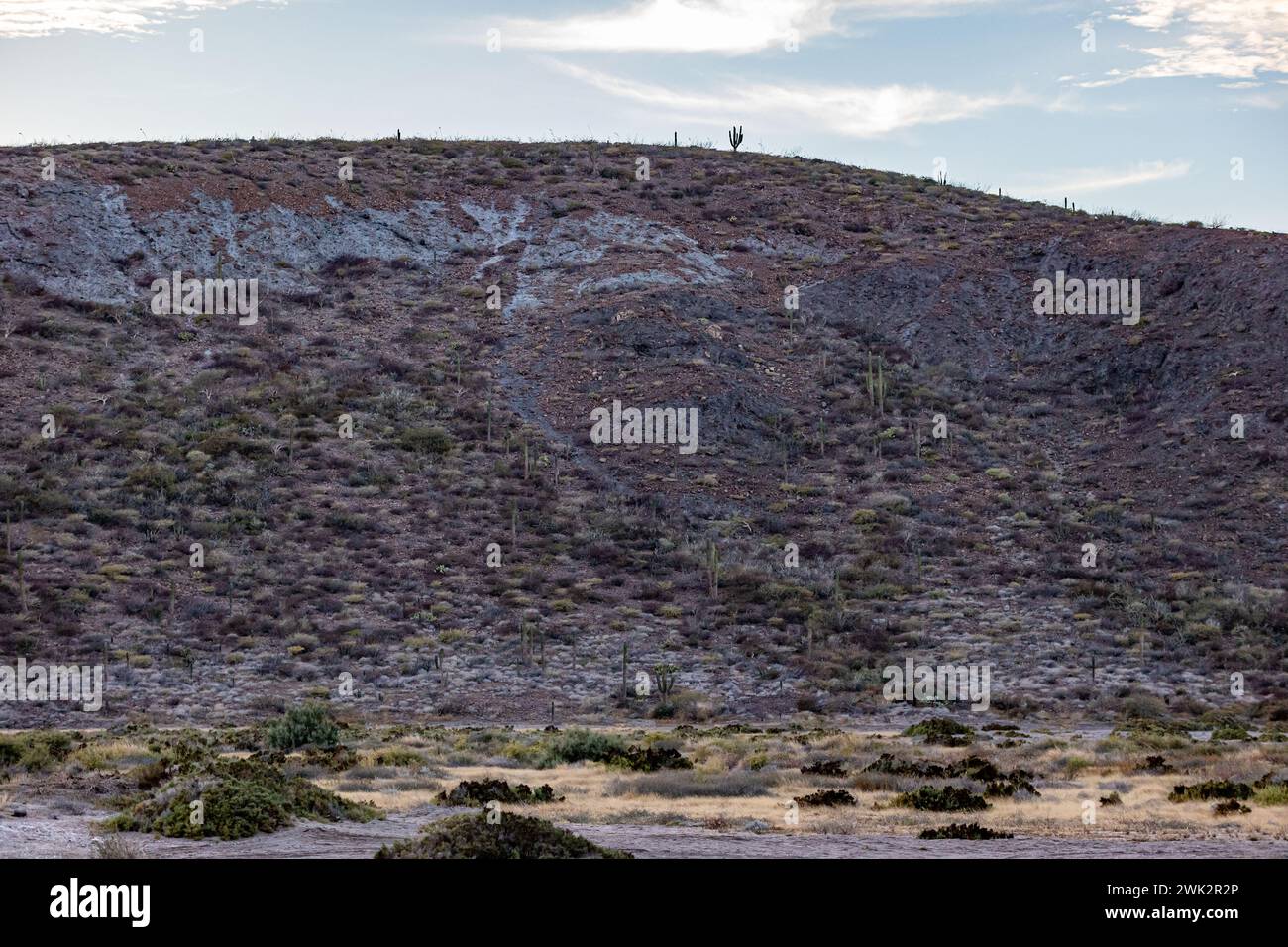 Rocky mountainous hill with cacti, steppes, scrubland, wild plants and ...