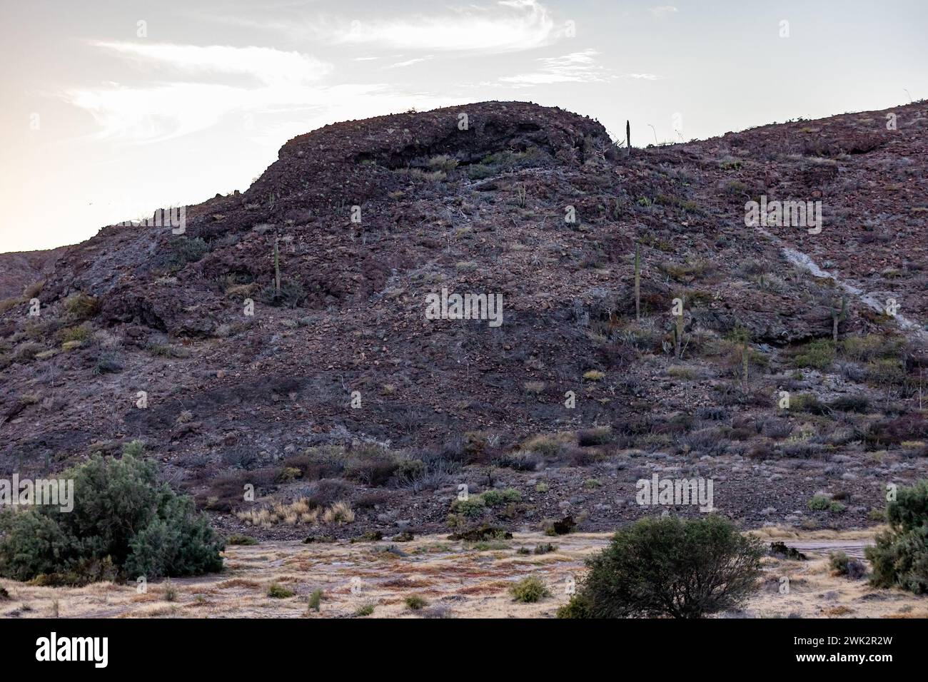 Rocky mountainous hill in desert landscape, arid terrain with cacti ...