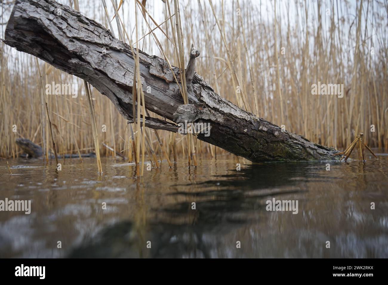 Underwater lake australia hi-res stock photography and images - Alamy