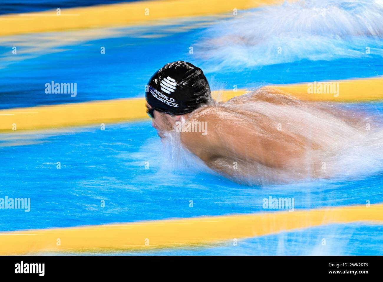 Doha, Qat. 18th Feb, 2024. Swimmer in action at World Aquatics ...