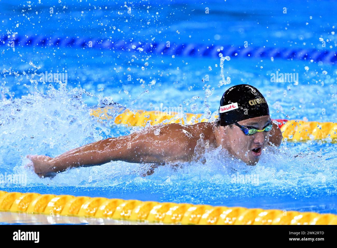 Doha, Qat. 18th Feb, 2024. Diana Seto from Japan at World Aquatics ...