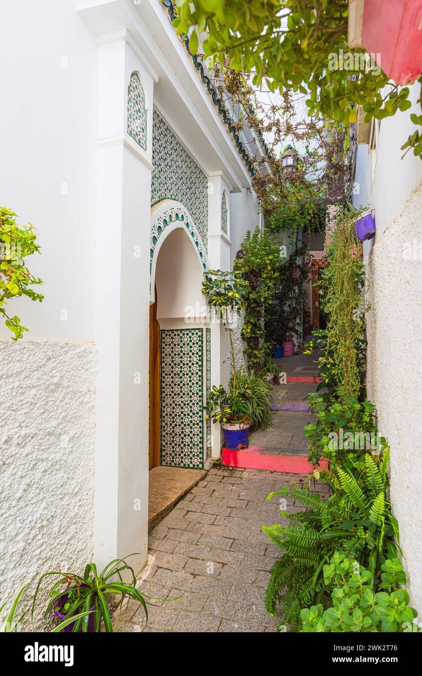 Tangier, Morocco, January 23, 2024. Tomb of Ibn Battuta, the greatest ...