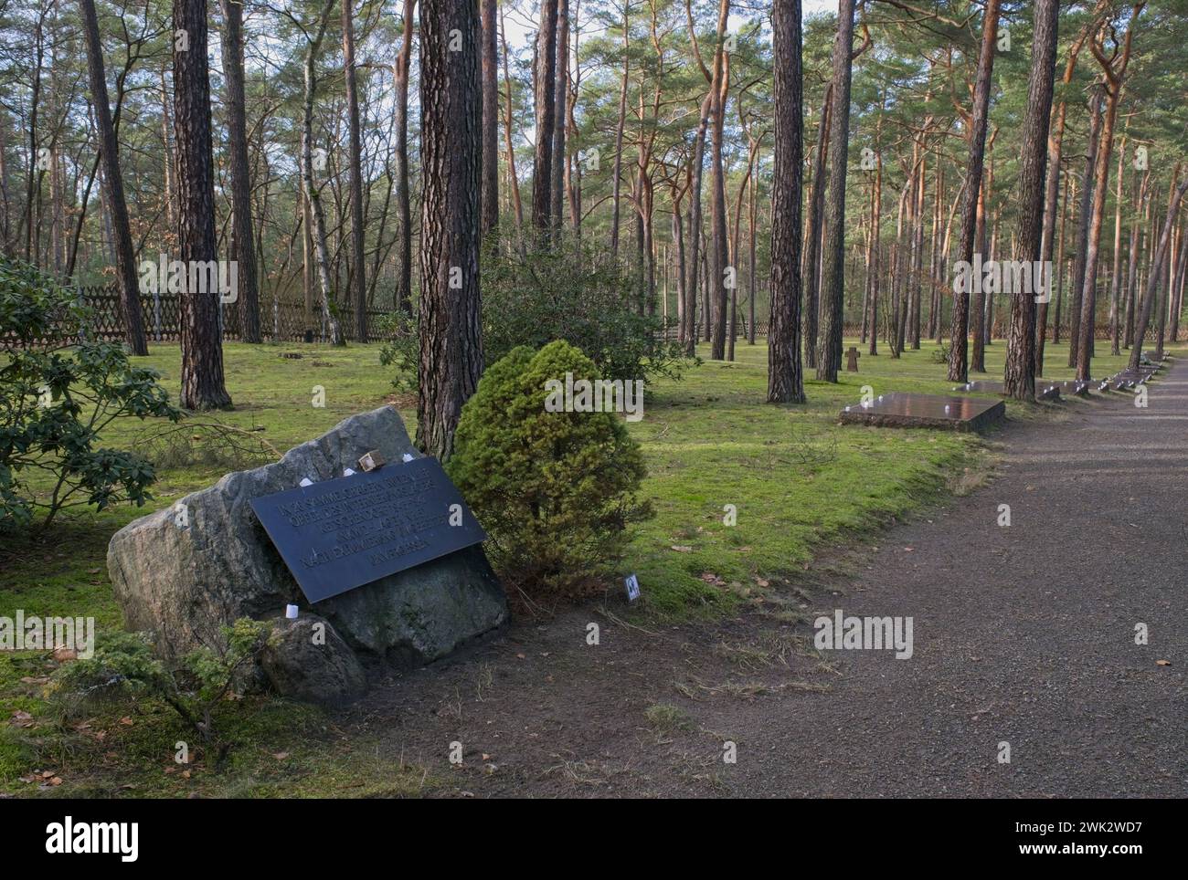Halbe, Germany - Jan 24, 2024: This war cemetery contains the graves of ...