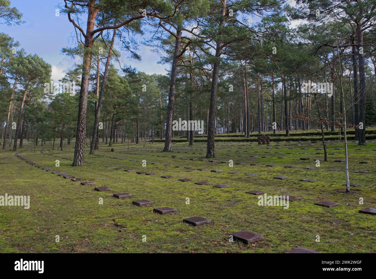 Halbe, Germany - Jan 24, 2024: This war cemetery contains the graves of ...