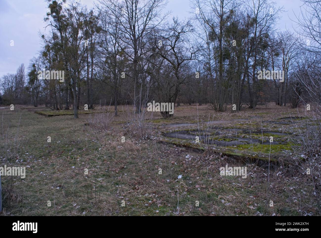 Falkensee, Germany - Feb 1, 2024: In Falkensee the largest satellite ...