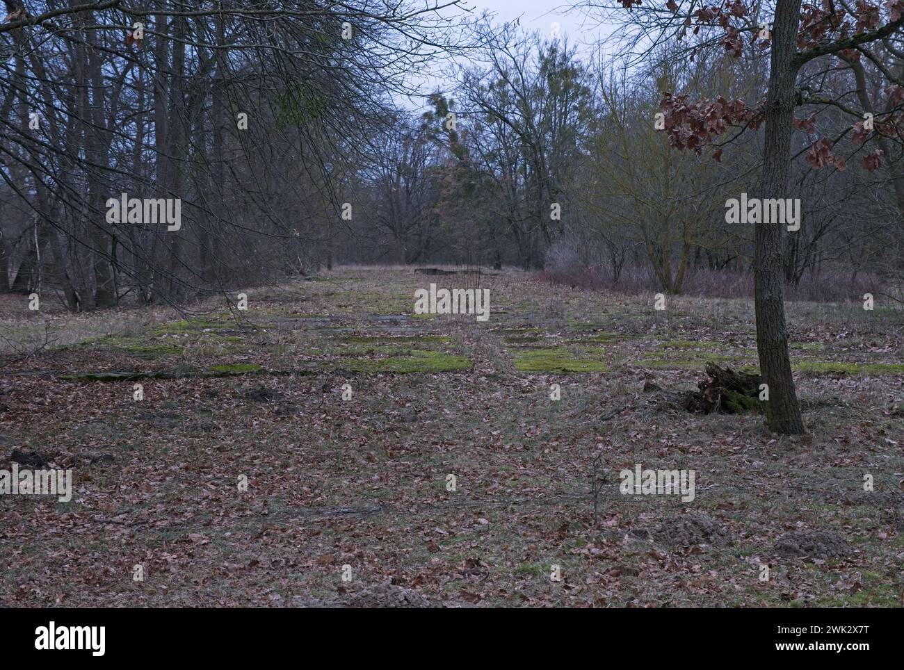 Falkensee, Germany - Feb 1, 2024: In Falkensee the largest satellite ...