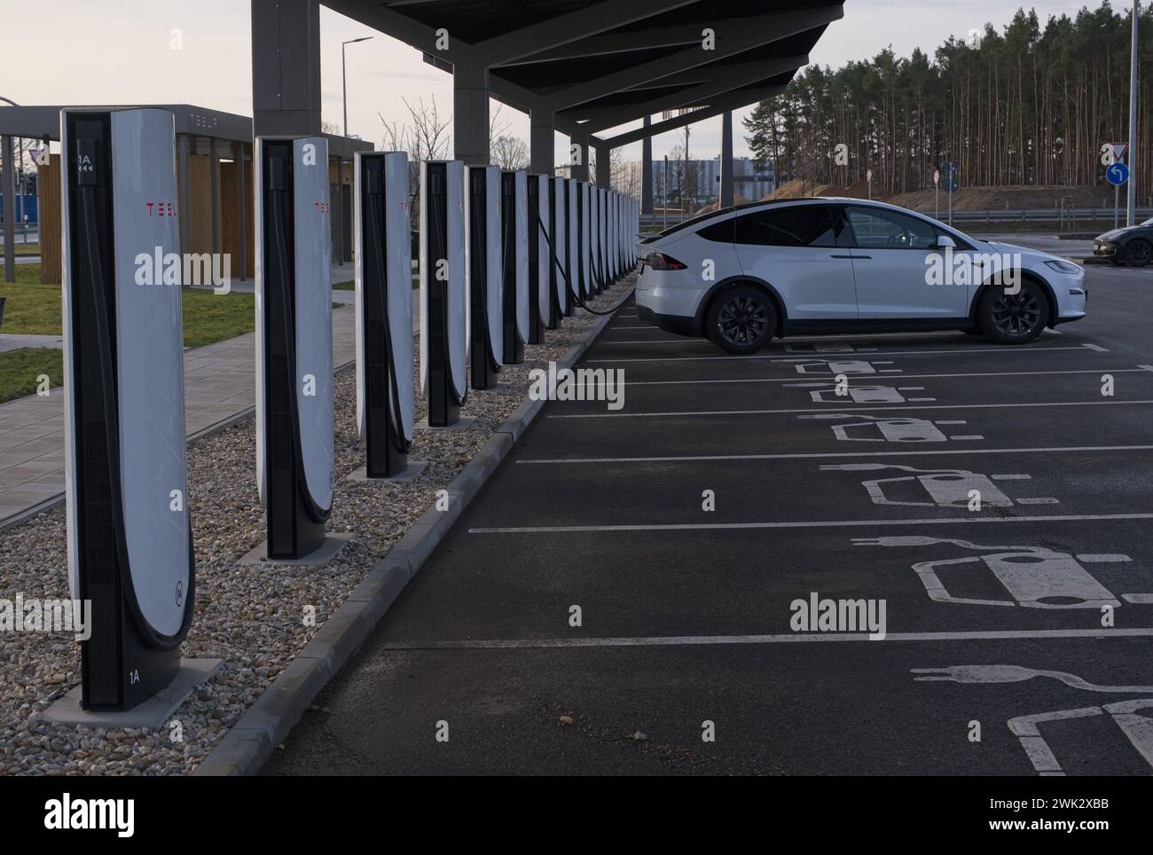 Berlin, Germany - Feb 4, 2024: A static shot of Tesla Model 3 and Y ...