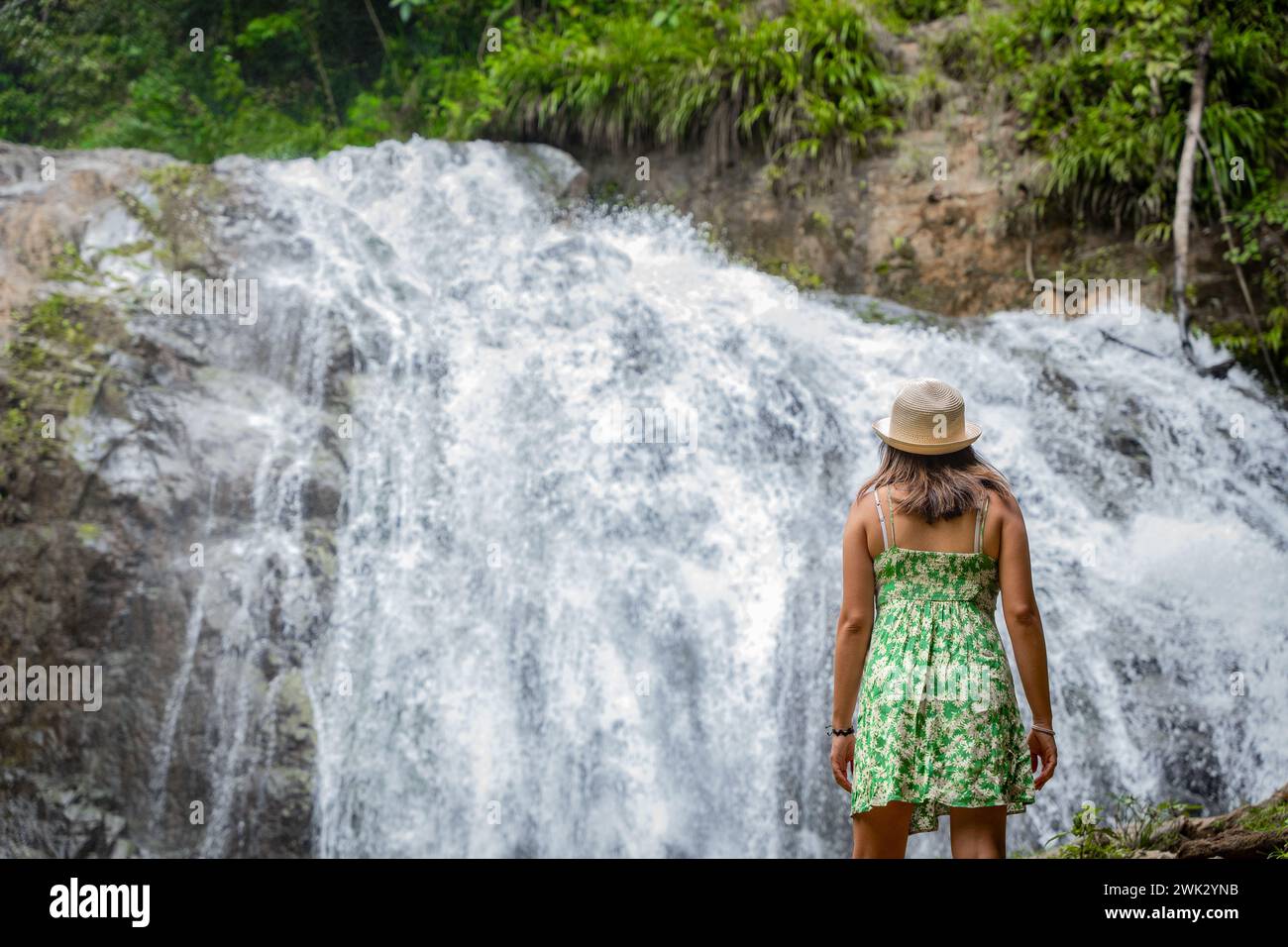 Woman traveler contemplates a waterfall in the Peruvian jungle Stock ...