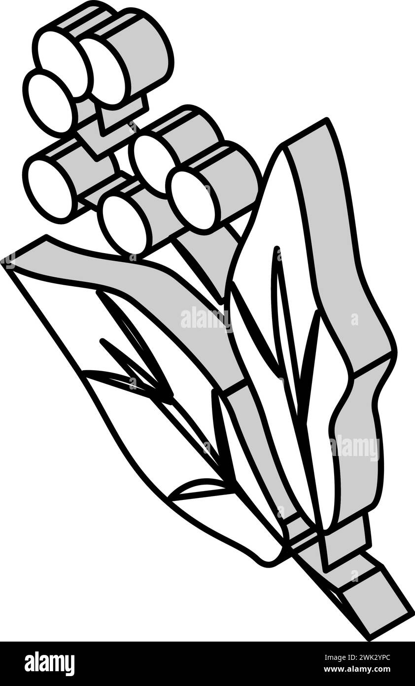 camphor aromatherapy isometric icon vector illustration Stock Vector ...