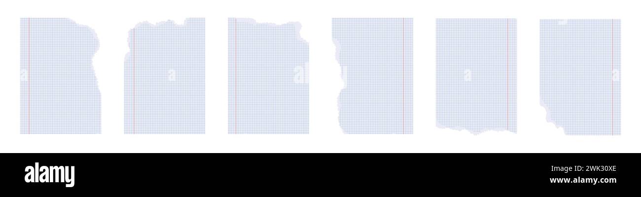 Set of torn paper snippets. Red margin line on a checkered notebook ...