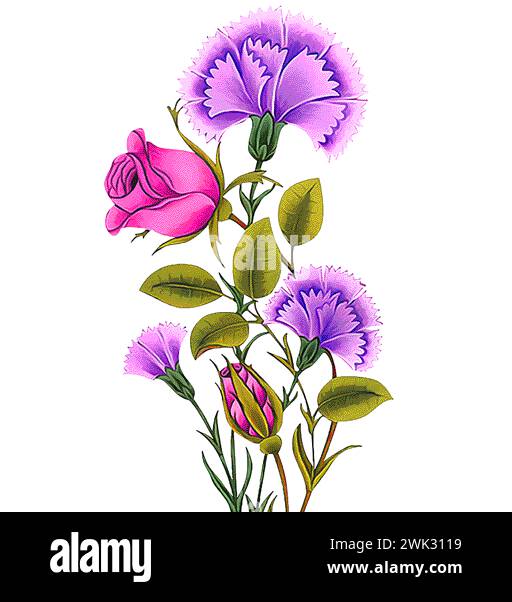 colorful motif design and beautiful color motif in textile digital and ...