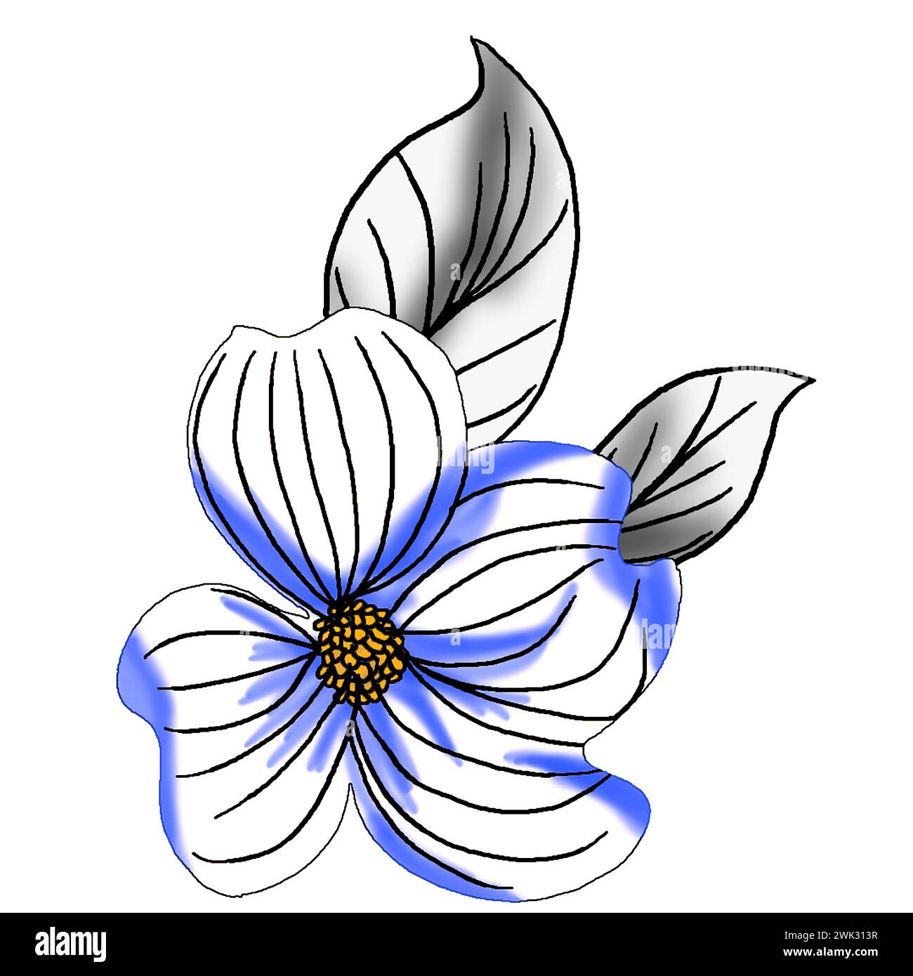 colorful motif design and beautiful color motif in textile digital and ...