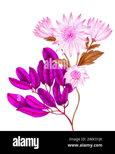 colorful motif design and beautiful color motif in textile digital and ...