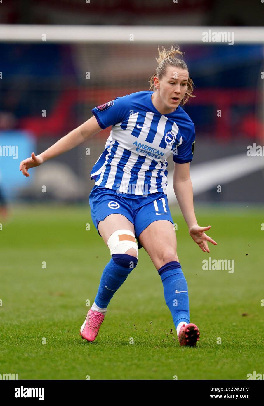 Brighton and Hove Albion's Elisabeth Terland during the Barclays Women ...