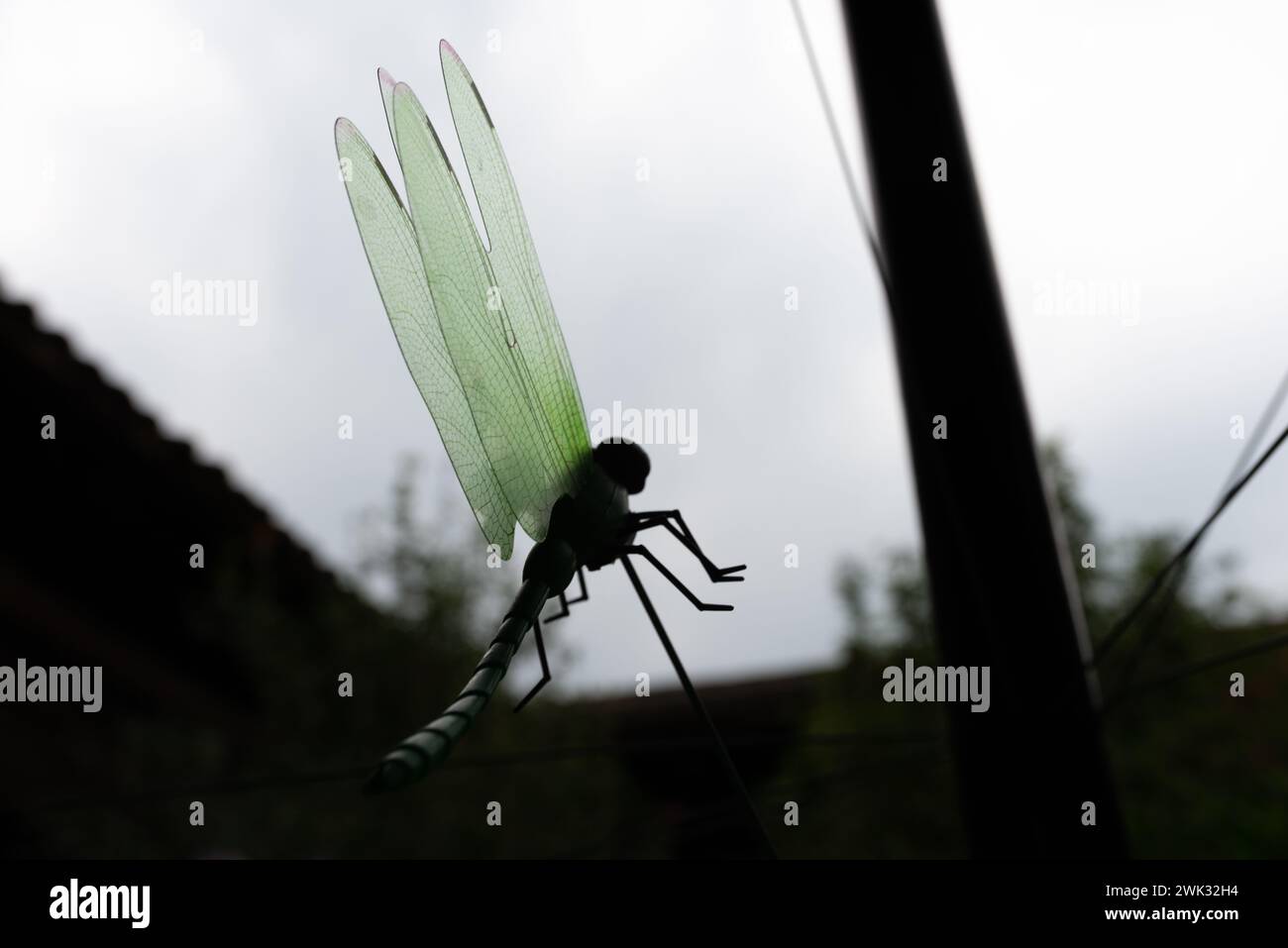Handmade artificial insect Stock Photo - Alamy
