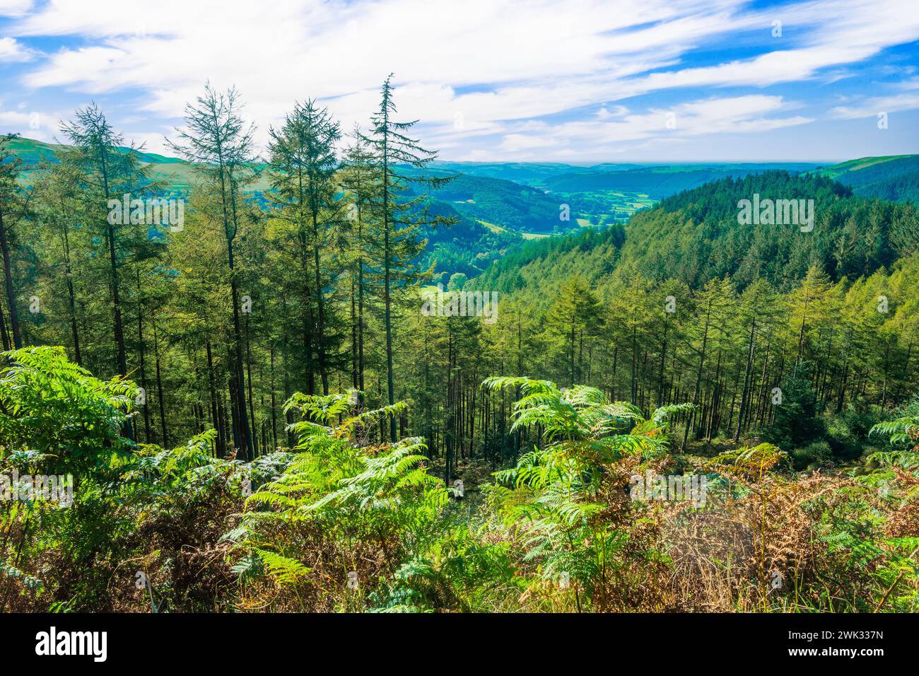 view over mid wales landscape near devils bridge wales uk Stock Photo ...
