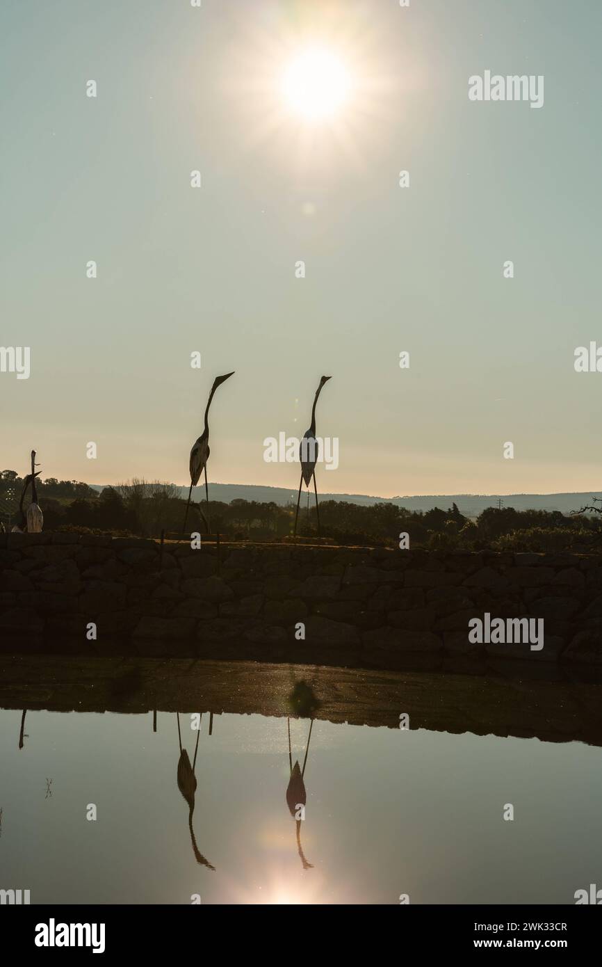 Travel Alentejo interesting places stork sculptures in the Bacalhoa ...