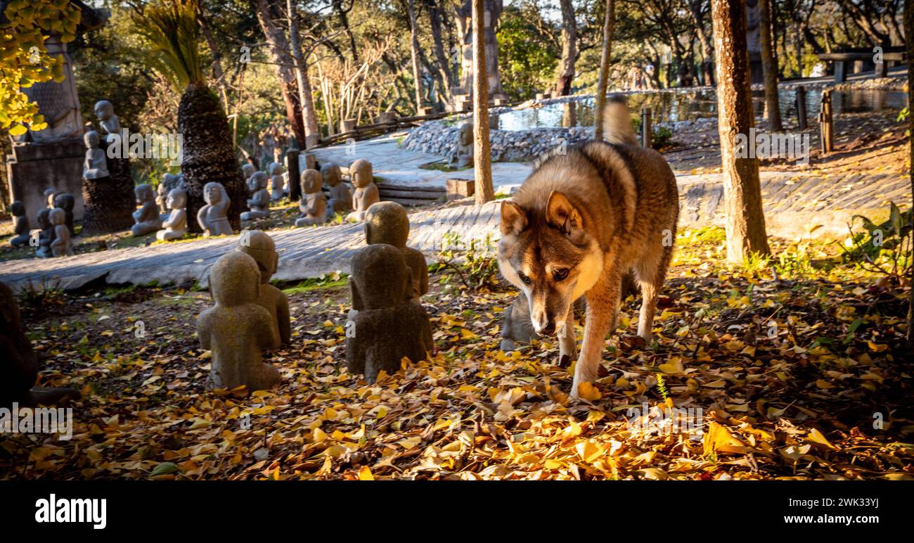 Travel Alentejo interesting places Landscape in Oriental Garden ...
