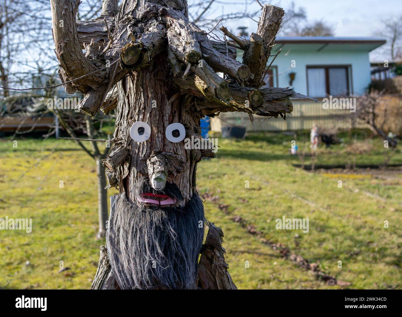 Tree faces and forest spirits in a garden Stock Photo - Alamy