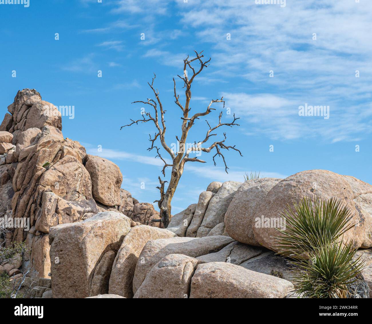 Yucca ridge trail hi-res stock photography and images - Alamy