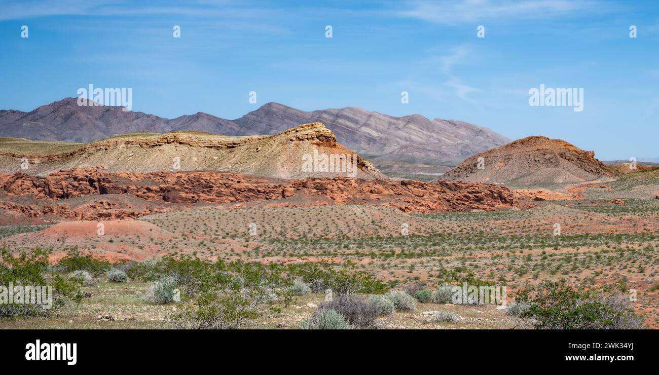 Gold Butte National Monument, near Bunkerville, Nevada Stock Photo - Alamy