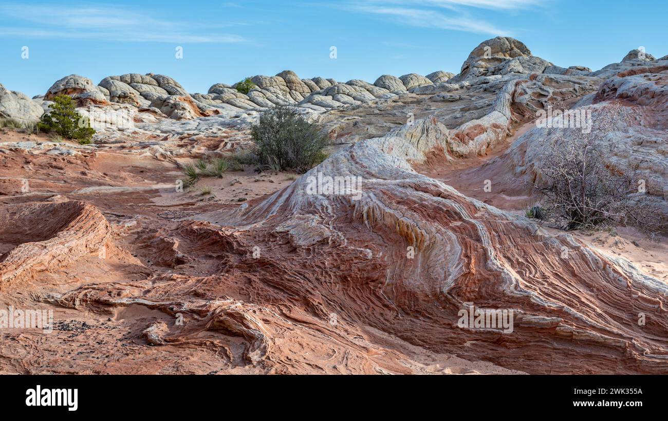 White Pockets, in the Vermillion Cliffs National Monument, near Marble ...