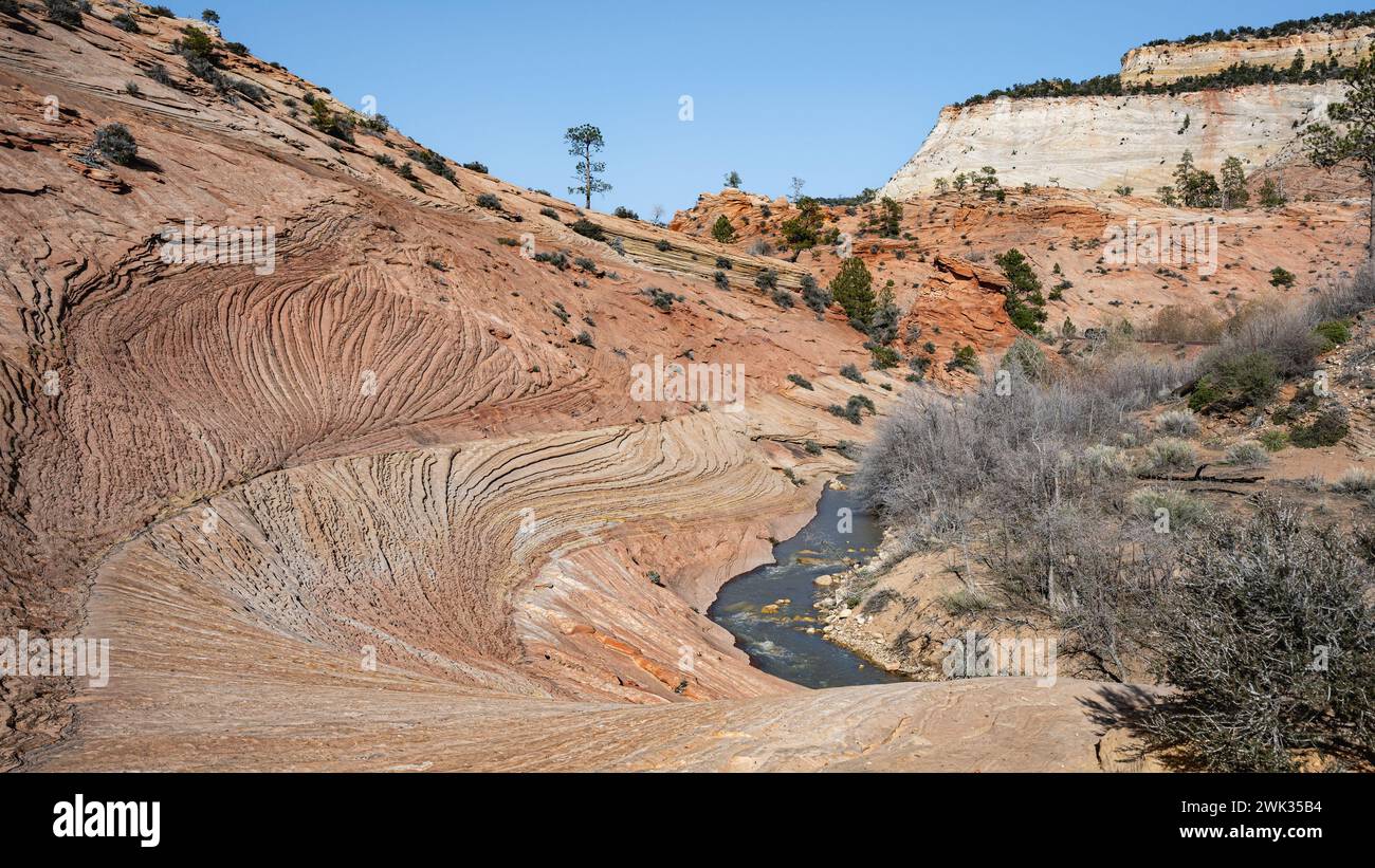 Springdale east hi-res stock photography and images - Alamy