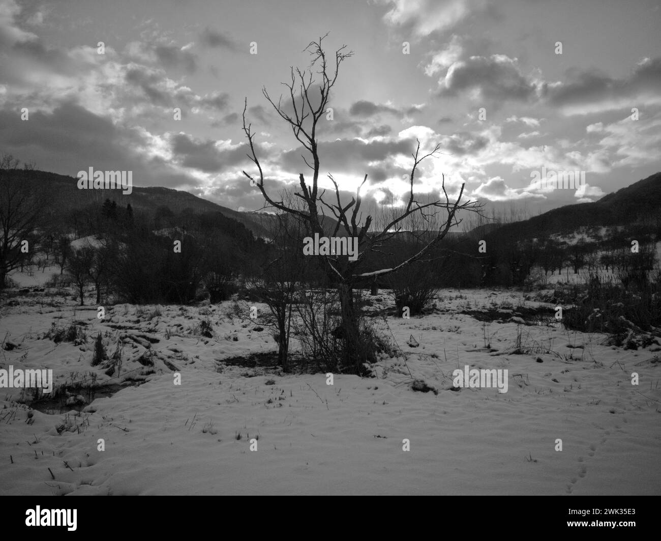 Actual climate change in Europe Stock Photo - Alamy Actual climate change in Europe Stock Photo - Alamy