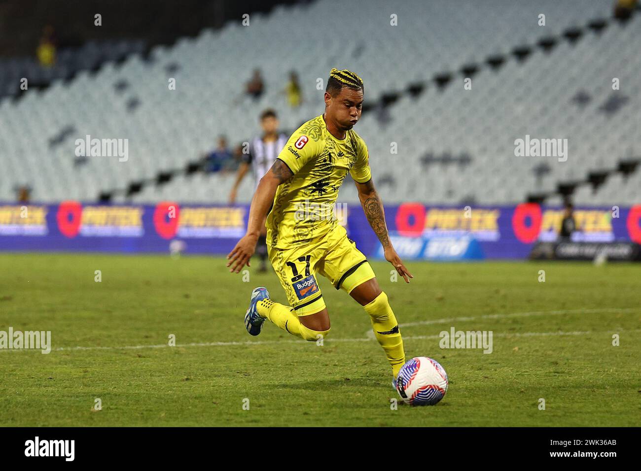 Callan elliot wellington phoenix hi-res stock photography and images ...