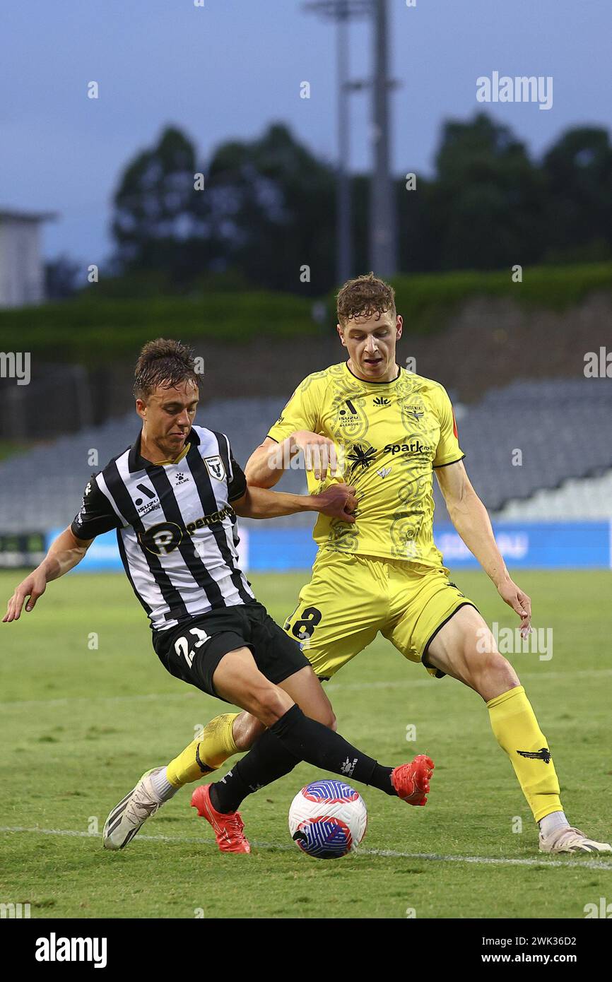 18th February 2024; Campbelltown Stadium, Sydney, NSW, Australia: A ...