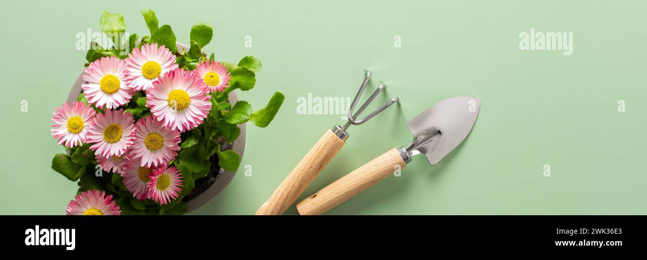 Spring decoration of a home balcony or terrace with flowers banner ...
