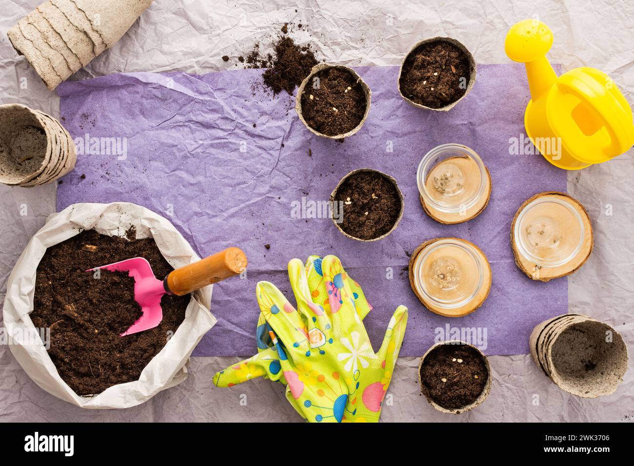 Planting Seedlings Of Tomato Top View On A Table With Eco Friendly 4638