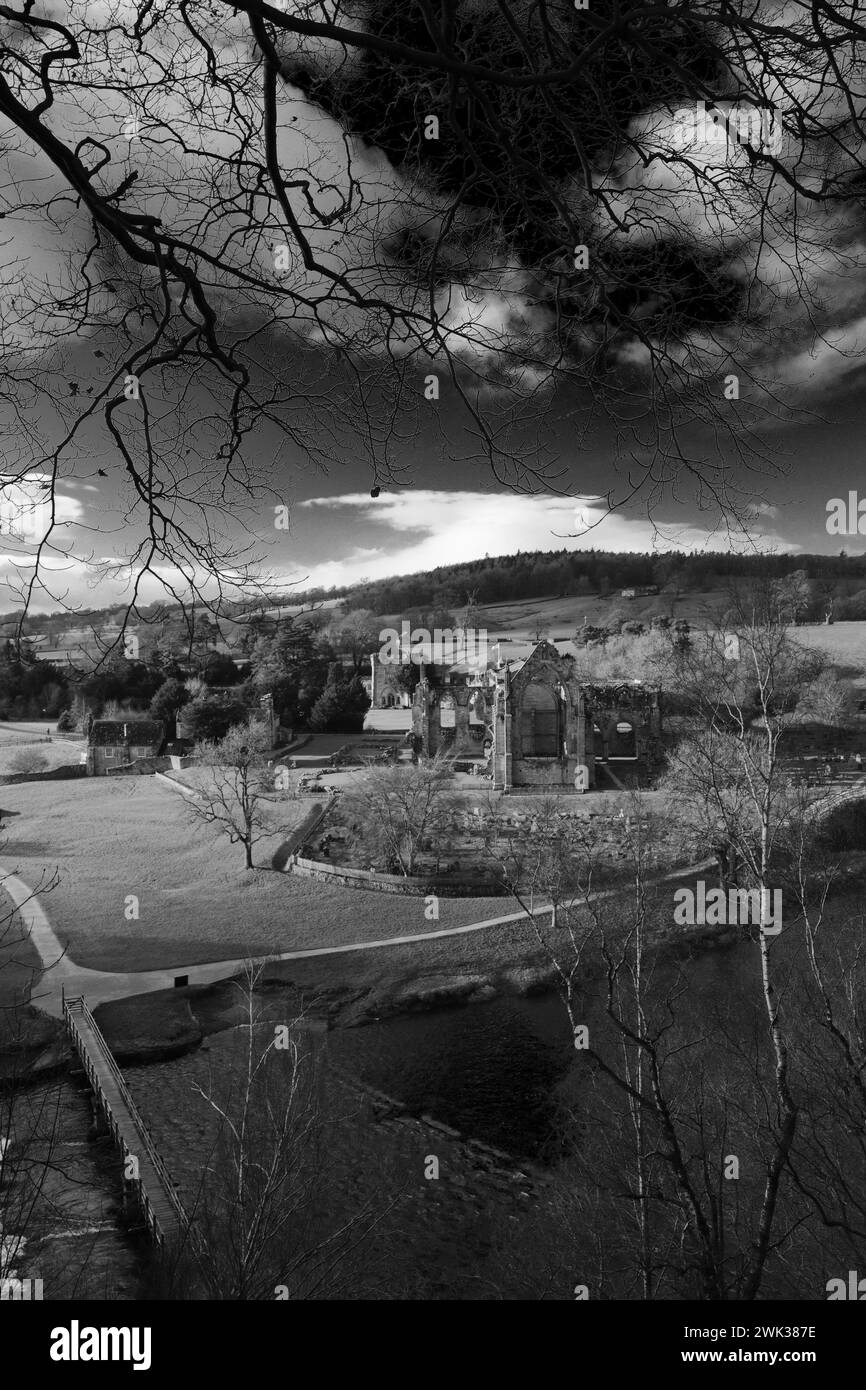 The ruins of the 12th Century Bolton Abbey Priory, river Wharfe ...
