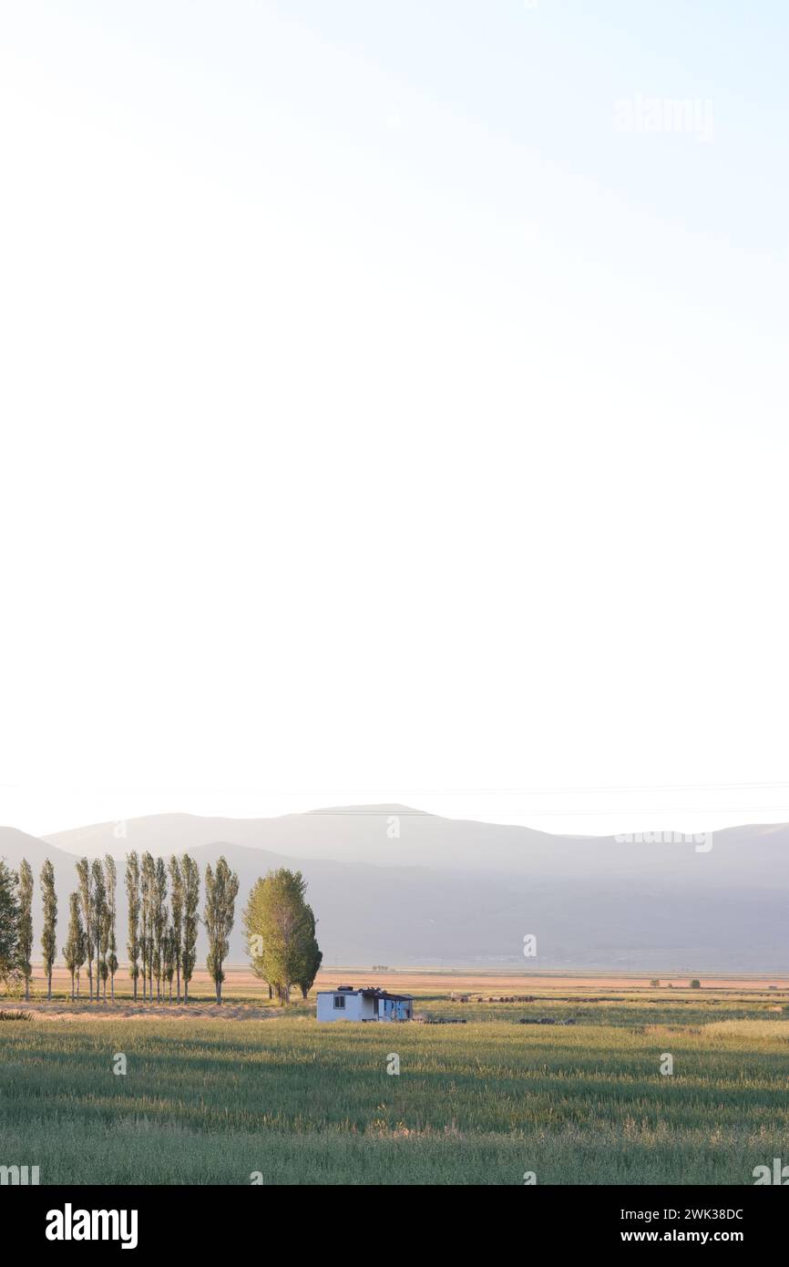 Tranquilview hi-res stock photography and images - Alamy