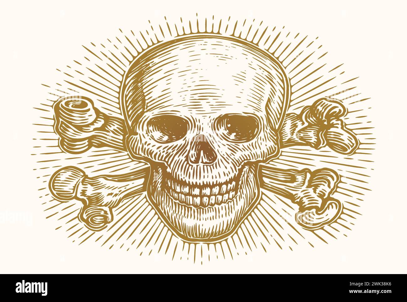 Skull and crossbones with rays. Human skeleton head sketch. Hand drawn ...