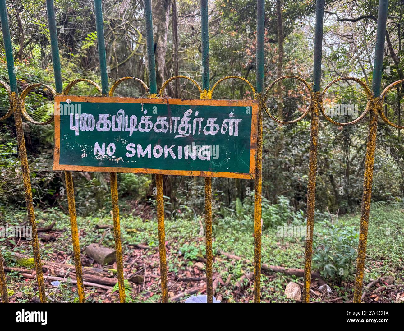 No smoking signboard in English and Tamil Languages at Guna Caves ...