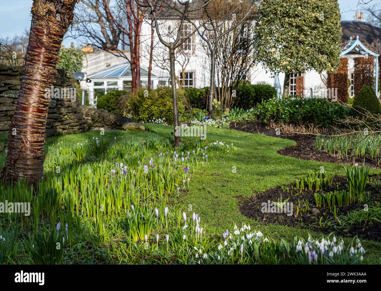British house common hi-res stock photography and images - Alamy