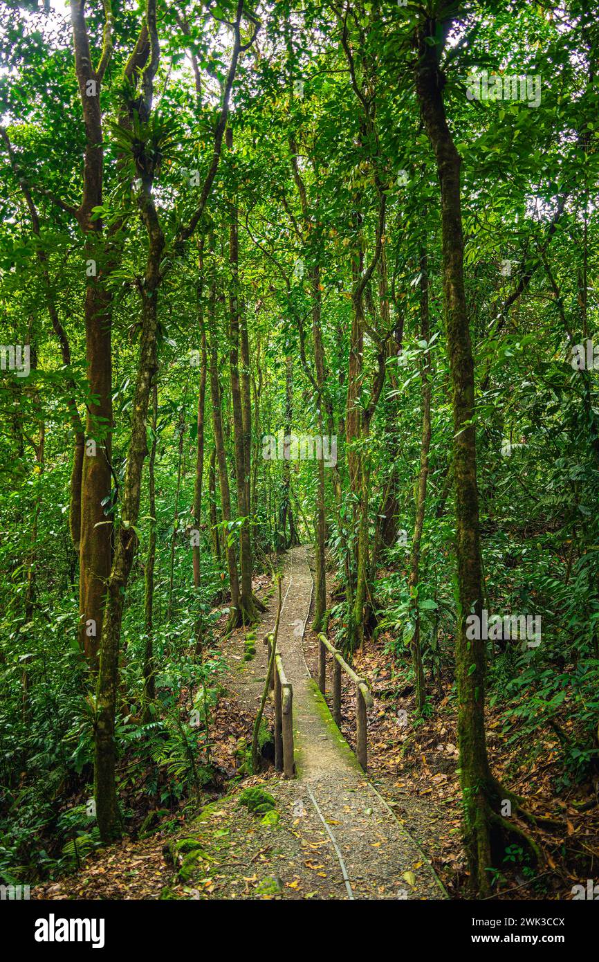 El arenal bridge hi-res stock photography and images - Alamy