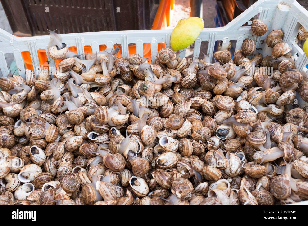 Market day on the Constanza Bastion of the Venetian city walls of ...