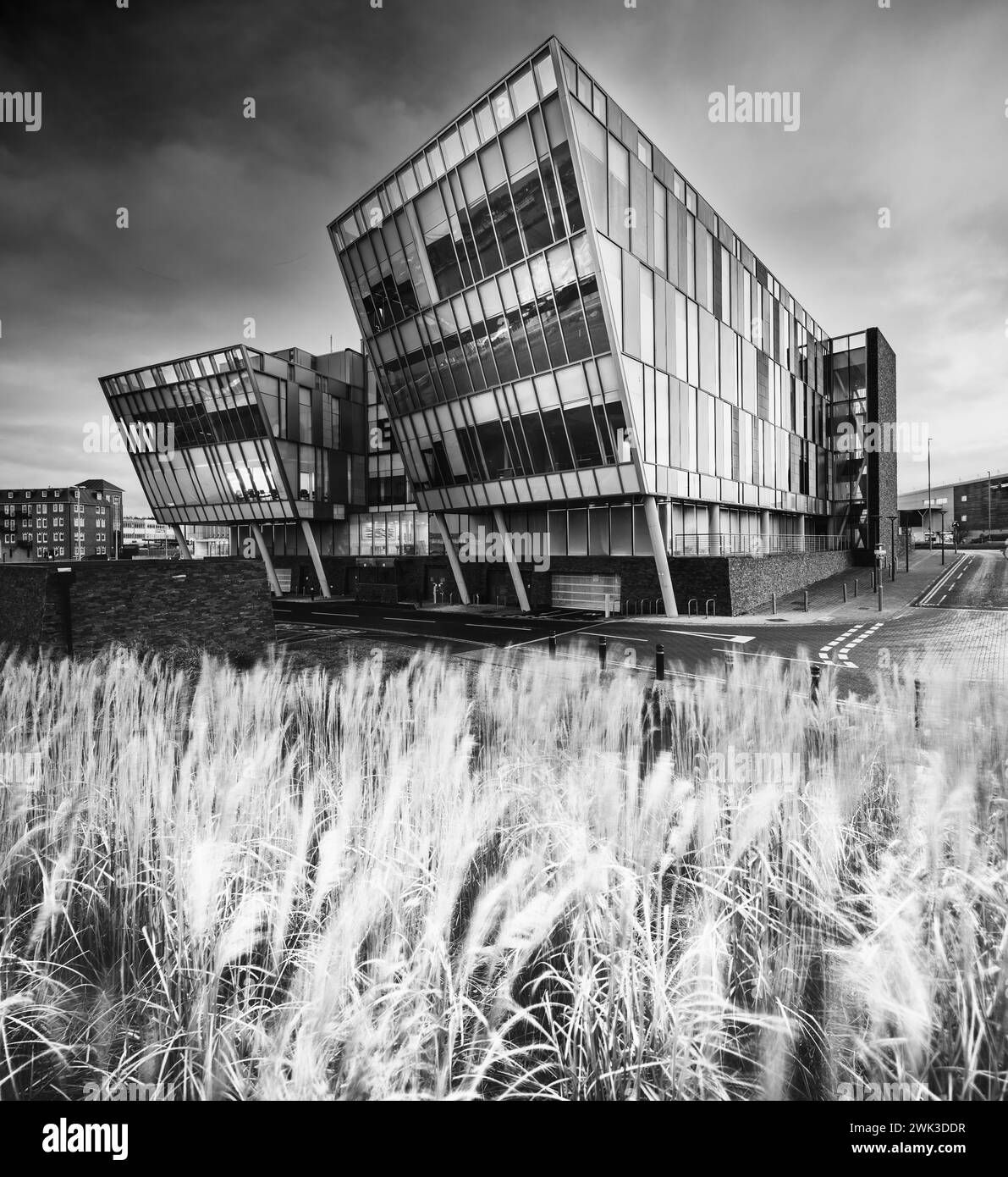 Busbys hi-res stock photography and images - Alamy