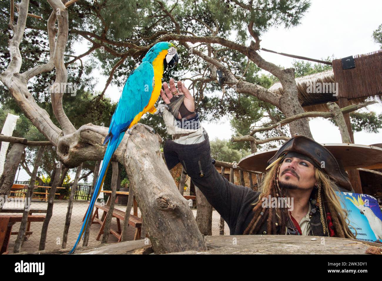 The children's pirate adventure tour "Mini Mallorca" with Jack Sparrow ...