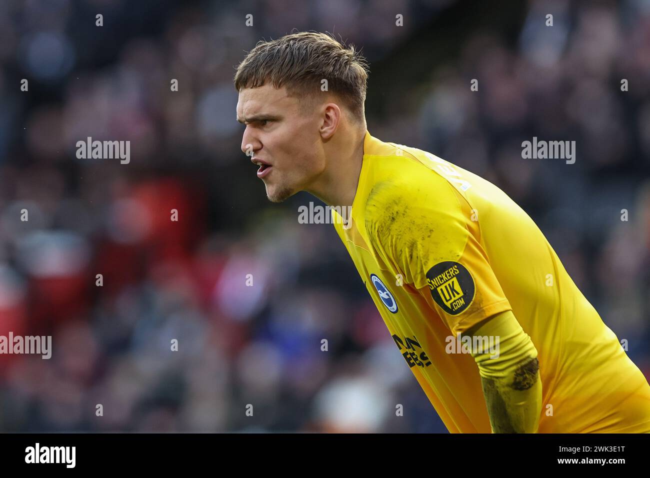 Sheffield, UK. 18th Feb, 2024. Bart Verbruggen of Brighton & Hove ...