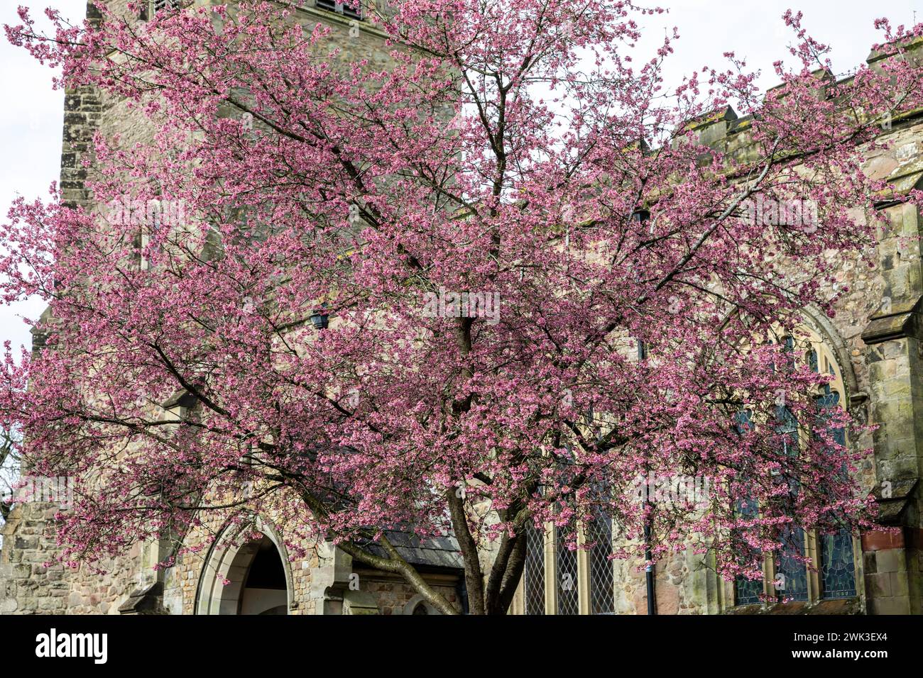 Lutterworth church hi-res stock photography and images - Alamy