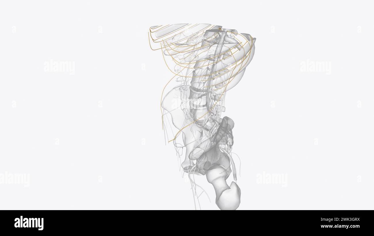 Branches of science Cut Out Stock Images & Pictures - Alamy