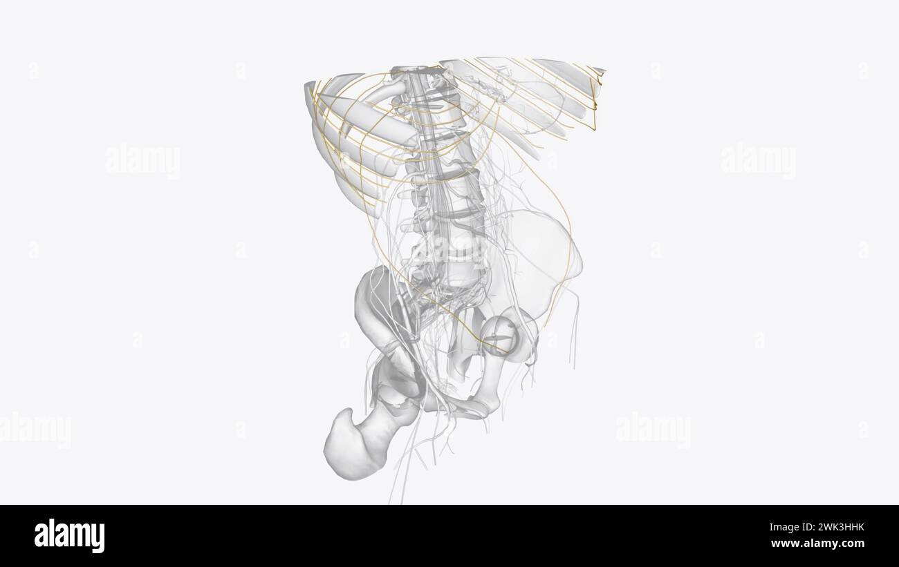 Branches of science Cut Out Stock Images & Pictures - Alamy