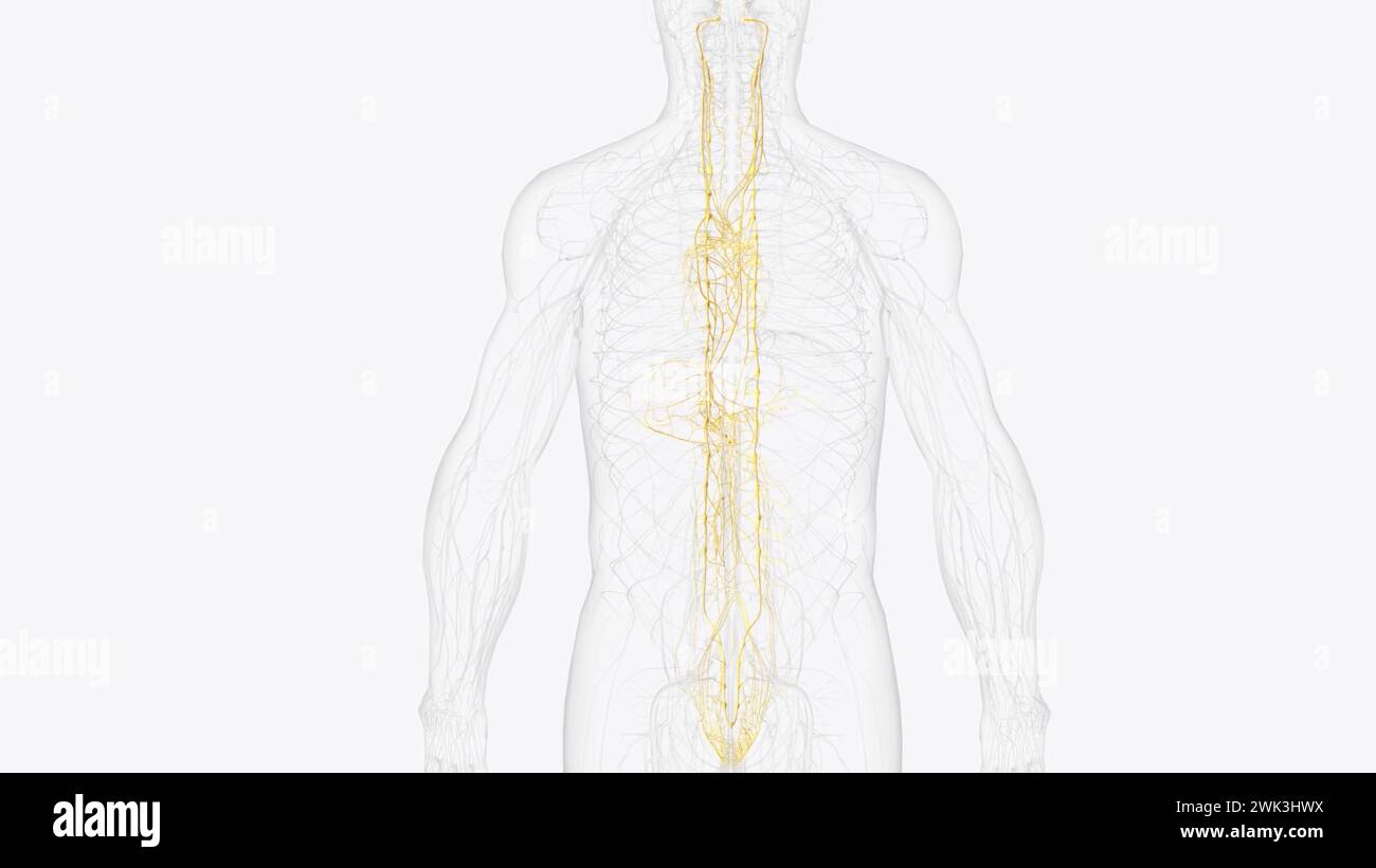 Physiologic pain hi-res stock photography and images - Alamy