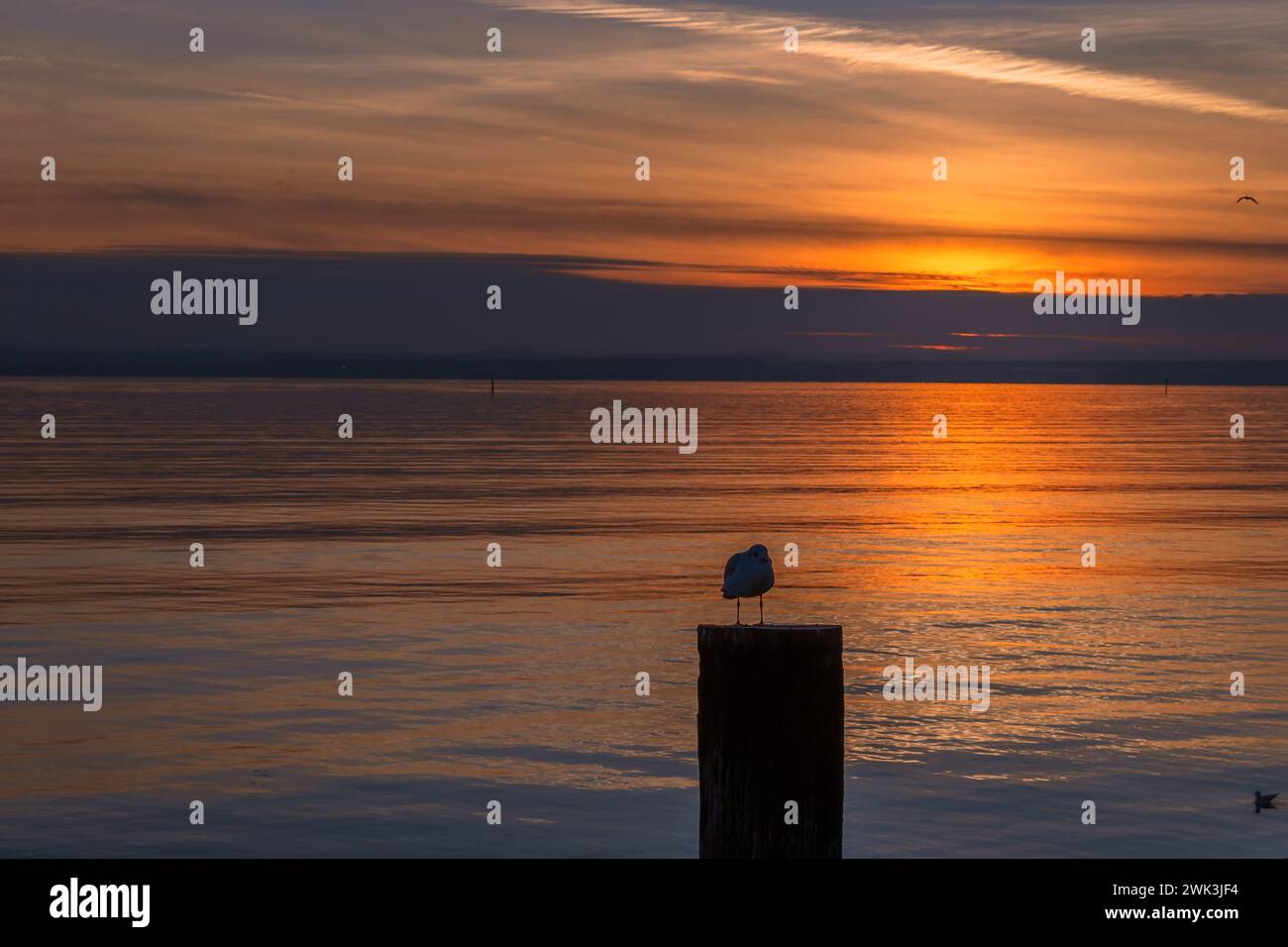 BADEN-WÜRTTEMBERG : FRIEDRICHSHAFEN - SUNSET OVER LAKE CONSTANCE Stock ...