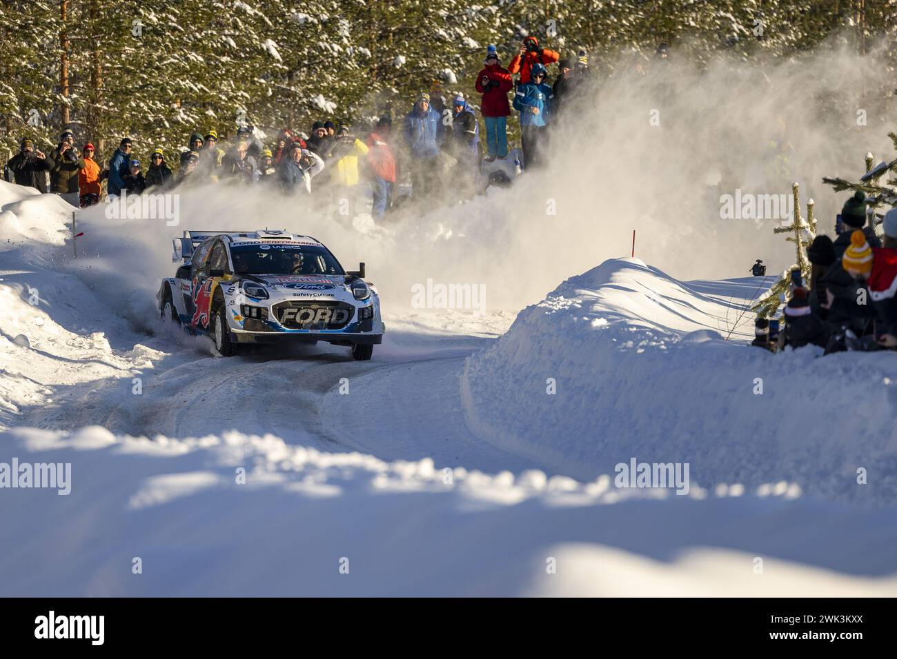 13 MUNSTER Gregoire, LOUKA Louis, Ford Puma Rally1, action during the ...