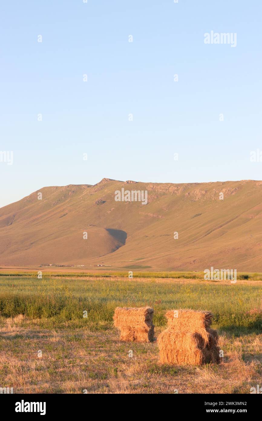 Tranquilview hi-res stock photography and images - Alamy